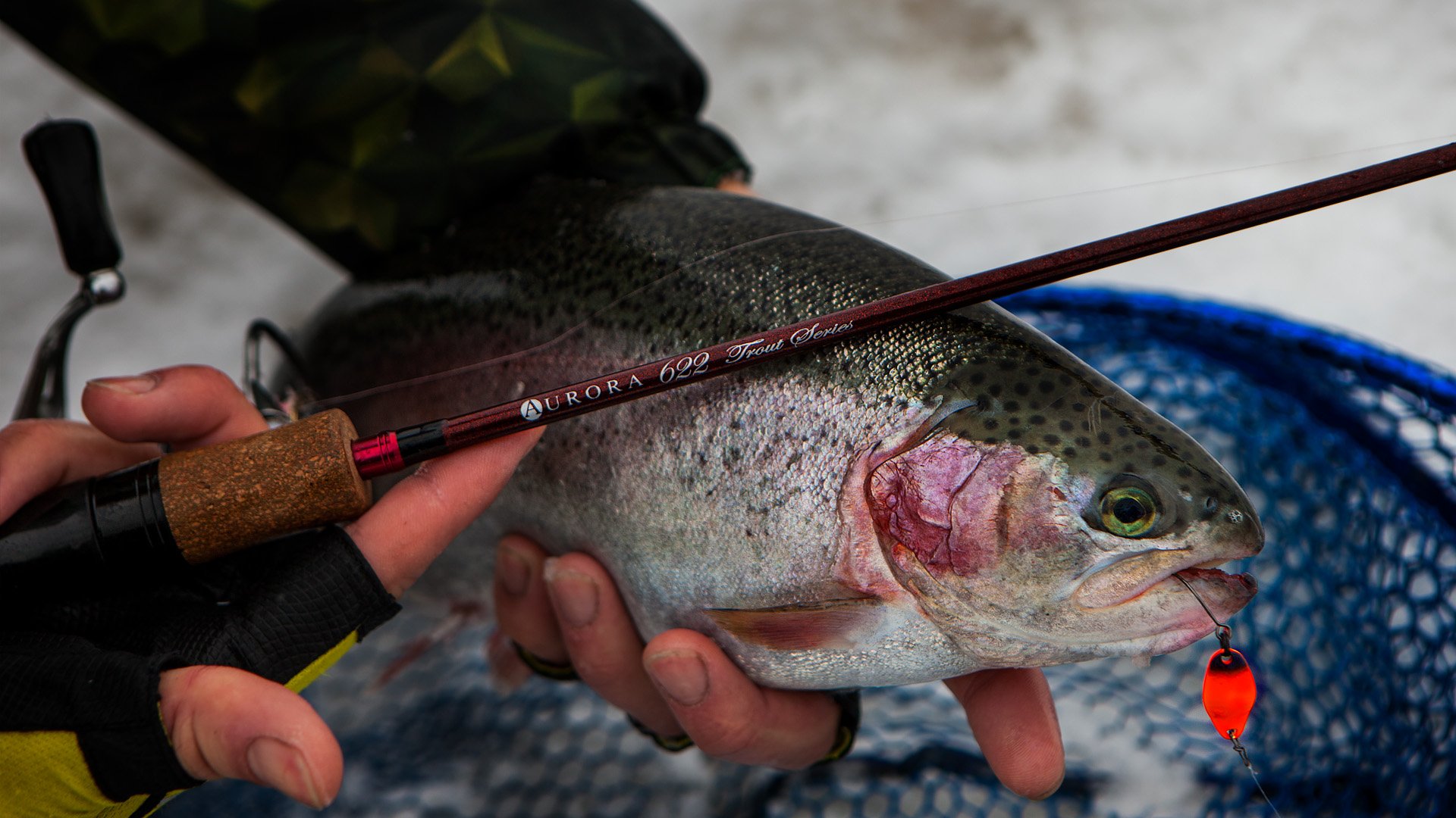 ZEMEX Aurora Trout Series – серия форелевых удилищ любительского класса.
